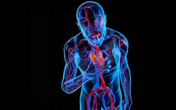 Triada mortal causa una de cada tres muertes en México - Campeche HOY